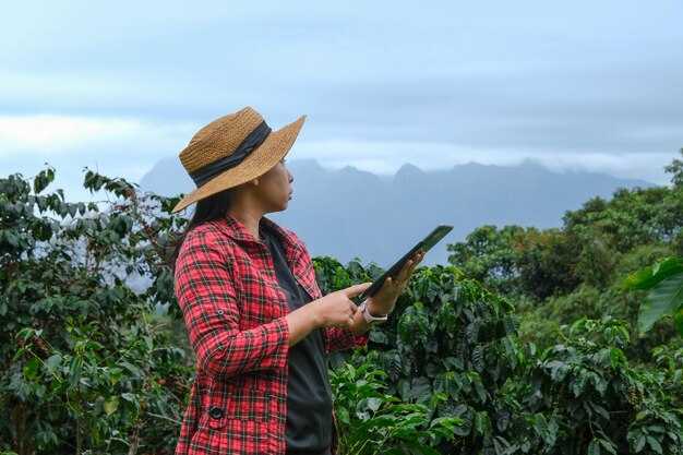Hawaii Launches Digital Traveler Form to Protect Agriculture
